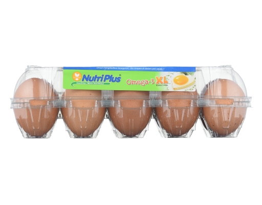 Nutriplus Eggs Omega-3 XL, 10 pcs - Enriched & Extra Large
