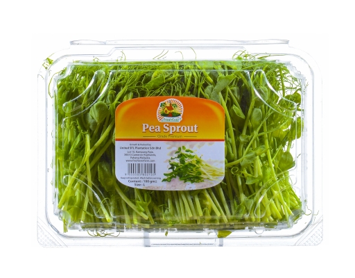 FreshEver Pea Sprout | myaeon2go