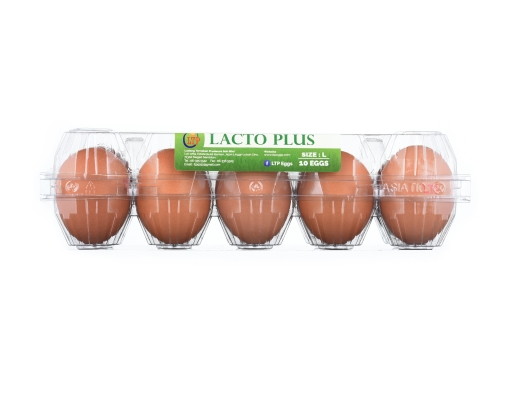LTP Lacto Plus, 10 pcs - Premium Quality & Healthier Life