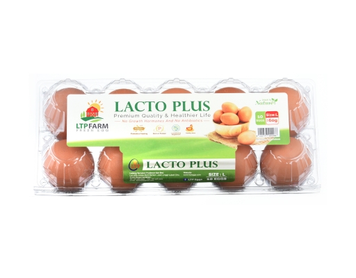 LTP Lacto Plus, 10 pcs - Premium Quality & Healthier Life