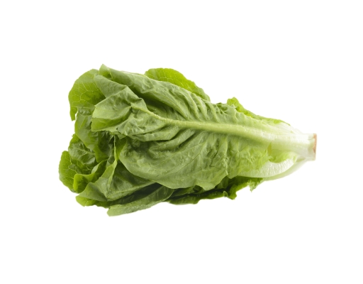 Segar2go Malaysia Romaine Lettuce, 1 pack - Fresh & Crisp