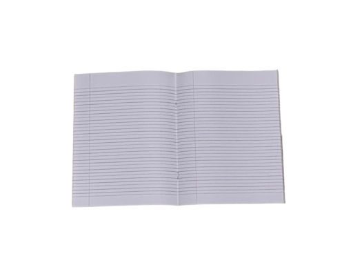 Famosa Four-Line Exercise Book | myaeon2go