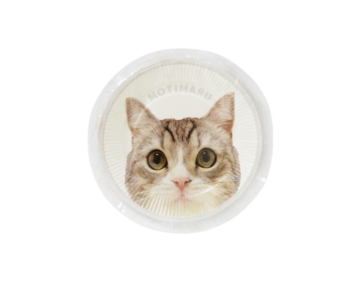 Daiso Paper Plate Motimaru Diary | myaeon2go