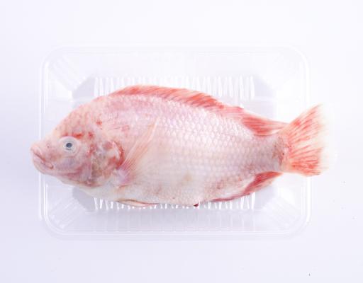 Seafood2U Ikan Tilapia Merah | myaeon2go