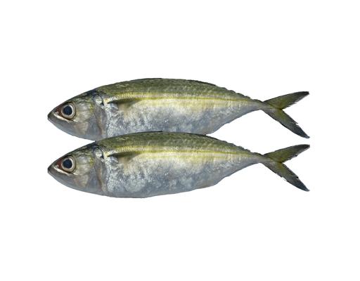 K-Ocean Ikan Mabong | myaeon2go