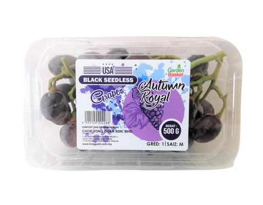 null US Autumn Royal Black Seedless Grapes 500g | myaeon2go