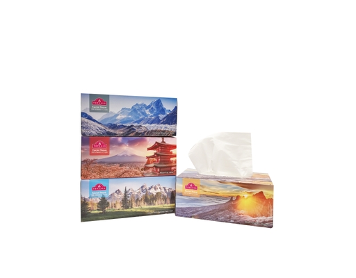 TOPVALU Virgin Pulp Facial Tissue | myaeon2go