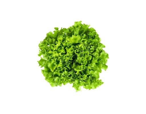 Segar2go Crispy Lettuce | myaeon2go